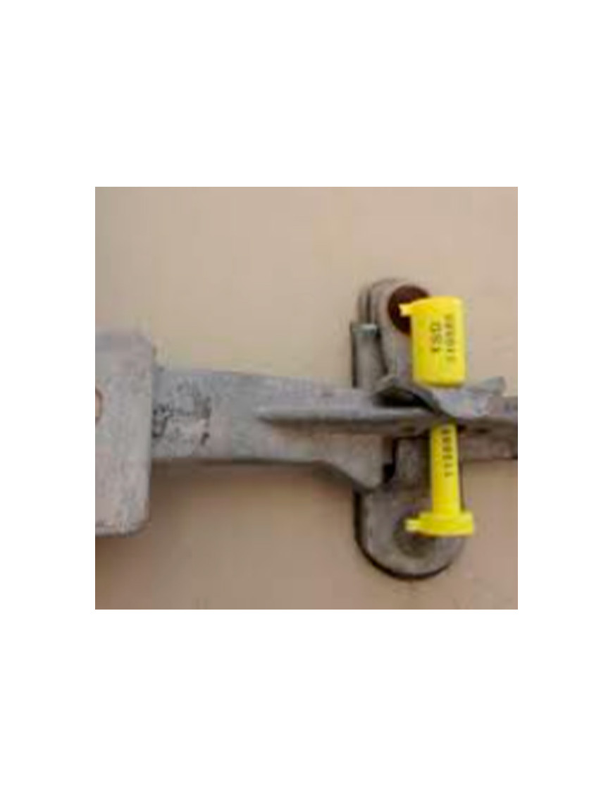 Sigillo a chiodo per container e TIR